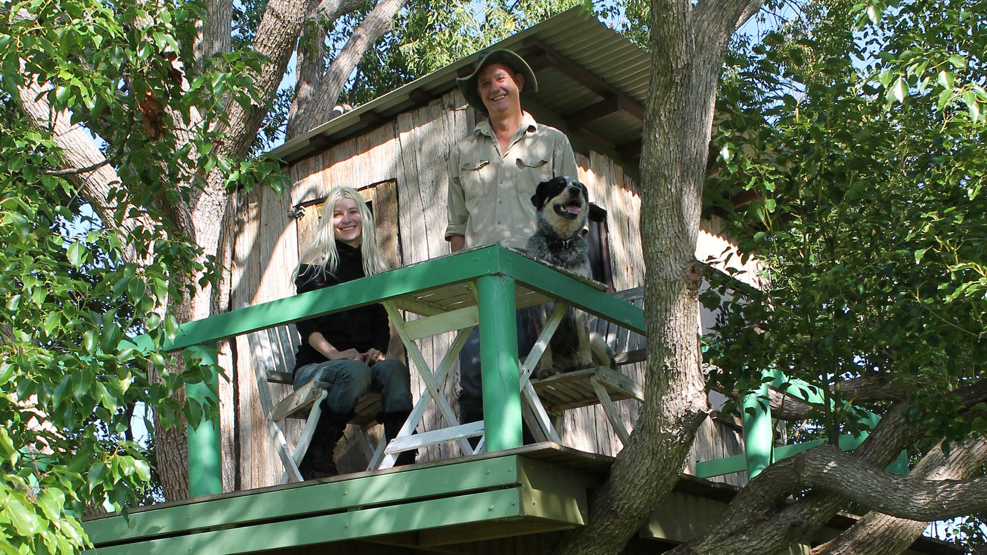 Keep up to date with Dingo Lane Farms - Dingo Lane Farms